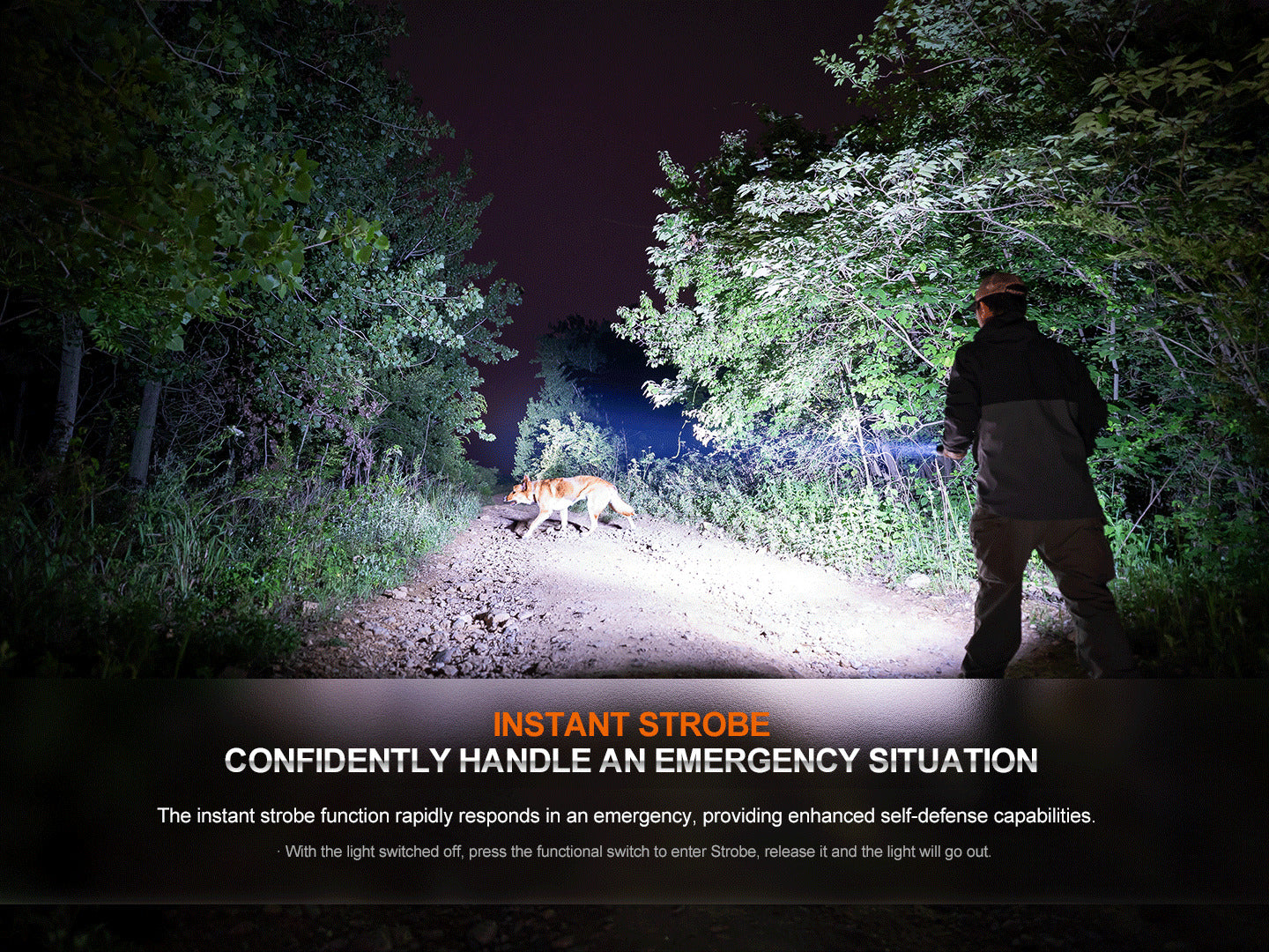 Top 5 Features to Look for in a Professional Predator Hunting Flashlig ...