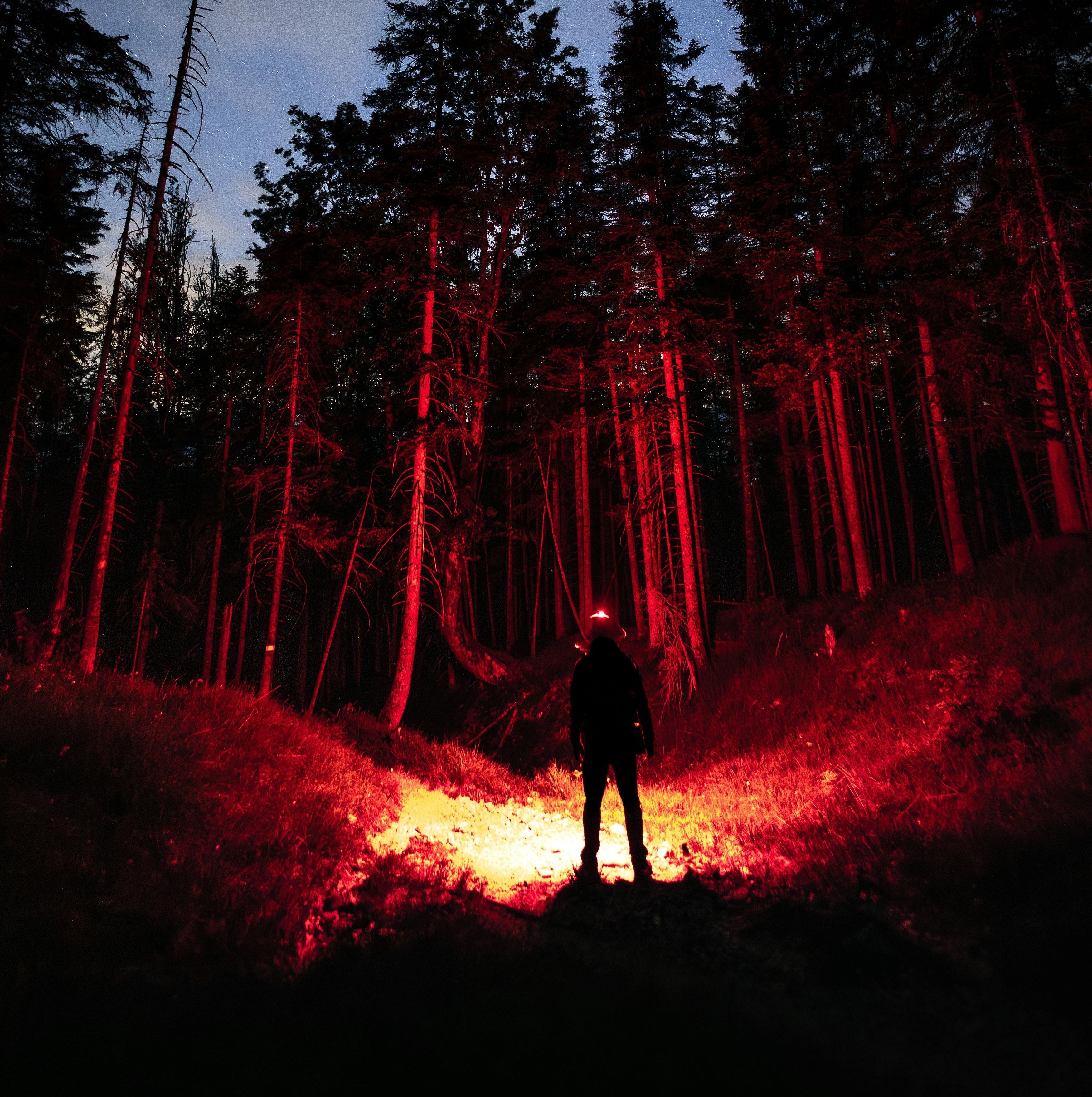 The Best Compact Flashlights for Ultra-Light Backpacking – Fenix Store